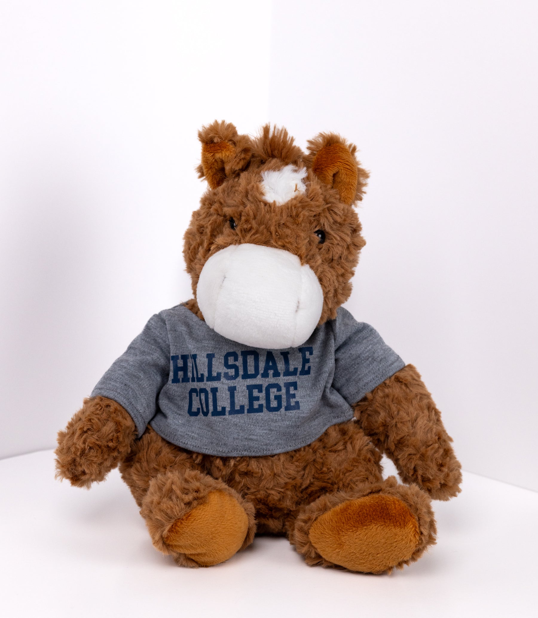 Accessories – Hillsdale College