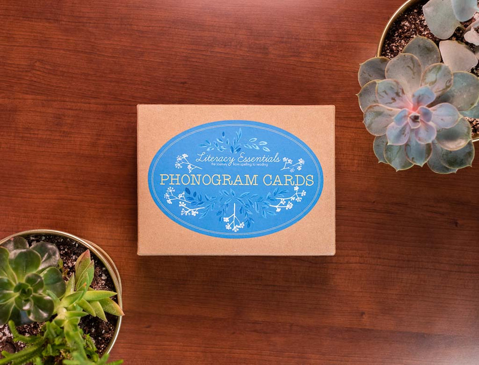 Hillsdale College Literacy Essentials Phonogram Card Set - Pilot Edition